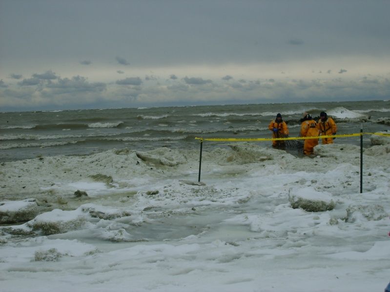 Photos | Jacksonport Polar Bear Club