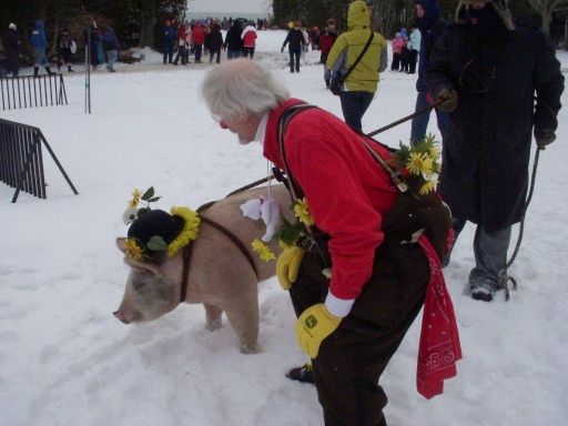 Photos | Jacksonport Polar Bear Club