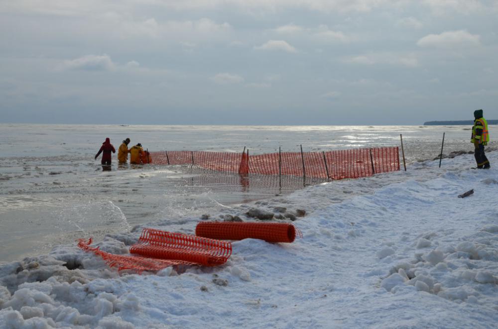 Photos | Jacksonport Polar Bear Club